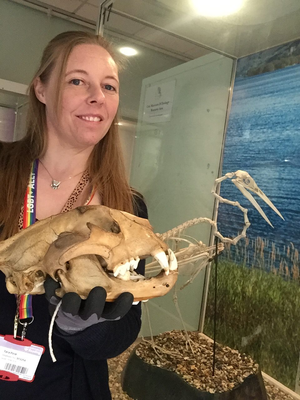 Meet the Team – Collections – Cole Museum