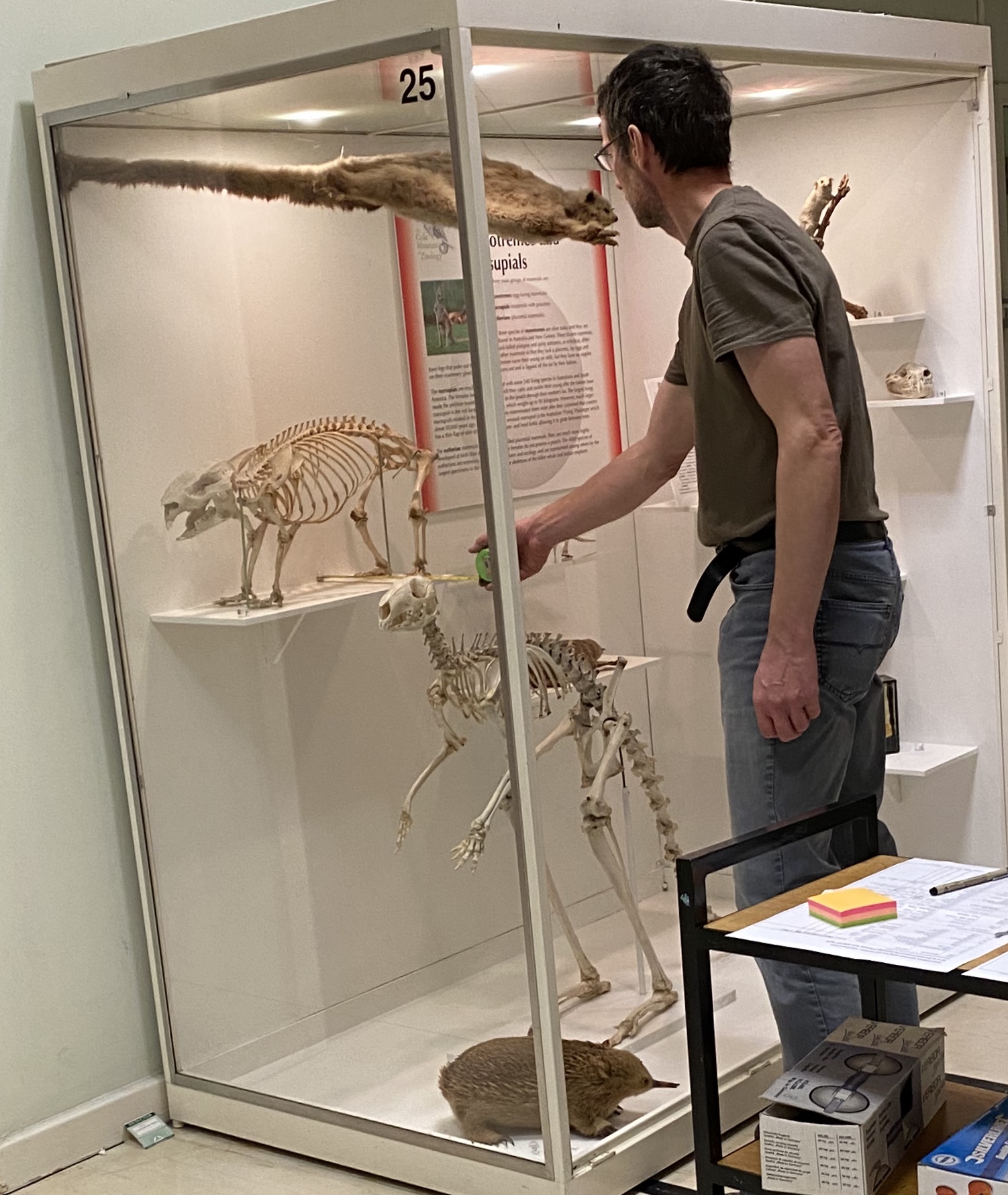 Meet the Team | Cole Museum of Zoology