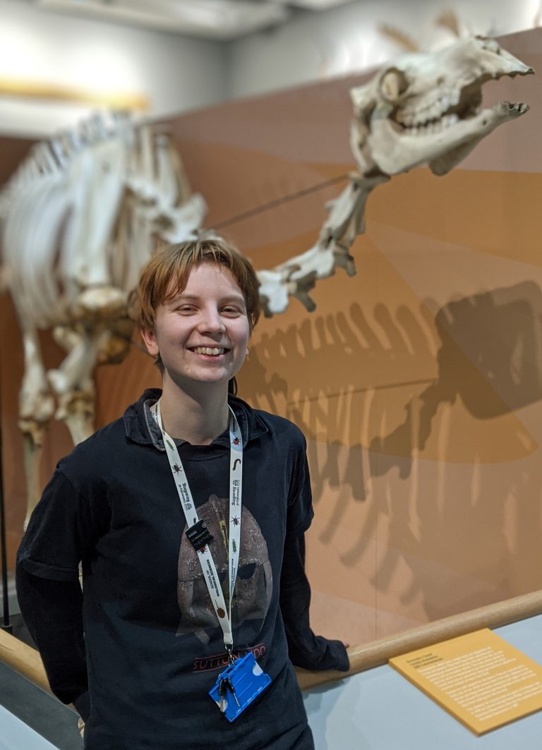 Meet the Team – Collections – Cole Museum