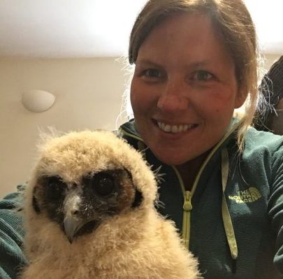 Meet the Team – Collections – Cole Museum