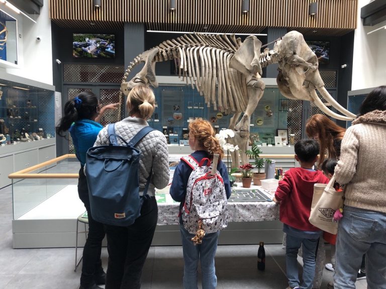 Plan your visit - The Cole Museum