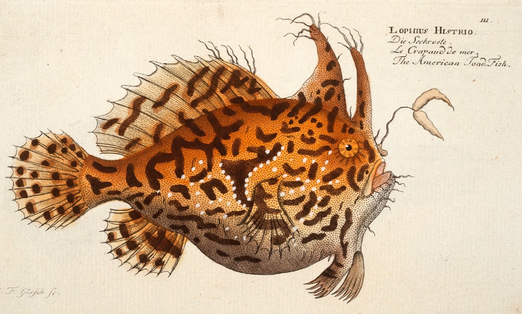 Cole and his library - Special Collections - University of Reading