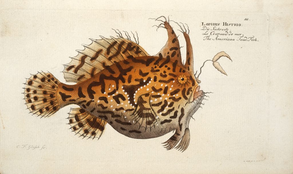 Cole and his library | Special Collections