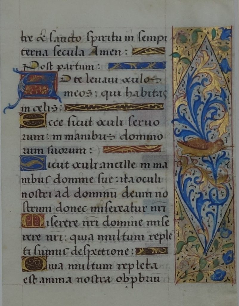 Conserving a magical menagerie: the conservation and rehousing of the ...